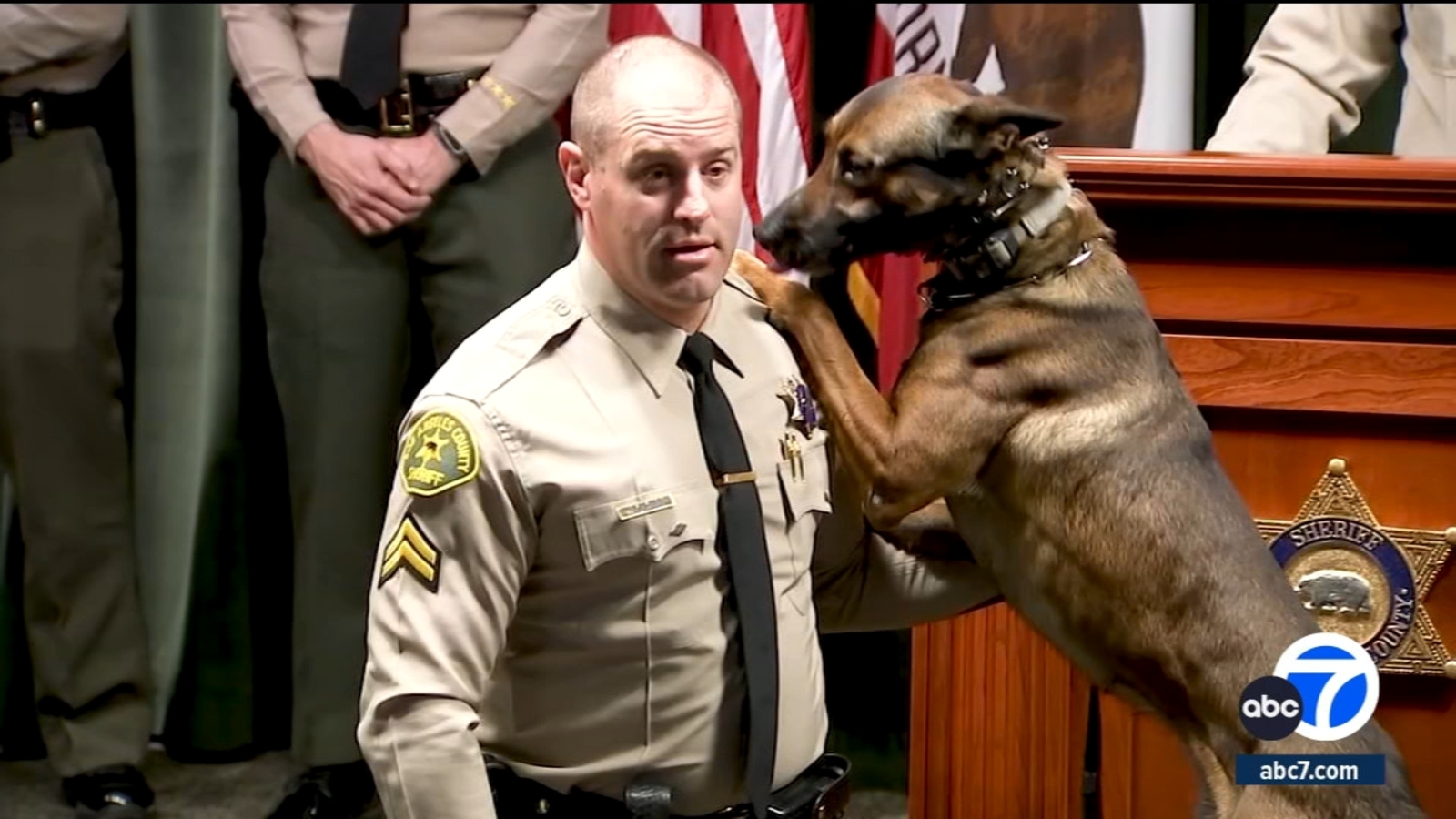 LASD deputies, wounded K-9 Kjeld recognized for bravery after confronting armed suspect in ...