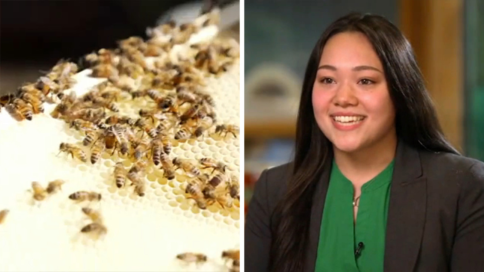Protecting bees: NJ high school student Katie Culbert named 'honey ...