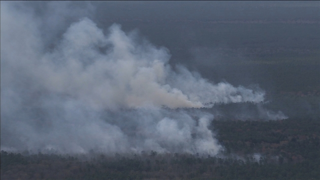 County Line Fire in Wharton State Forest between Camden and Burlington ...