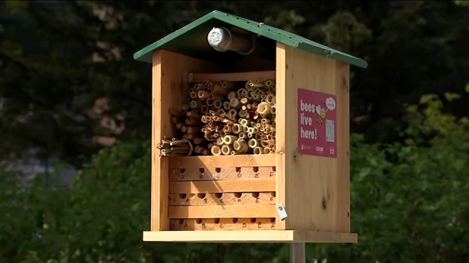 Bee habitat project: NYC Dept. of Transportation, NY Horticultural ...