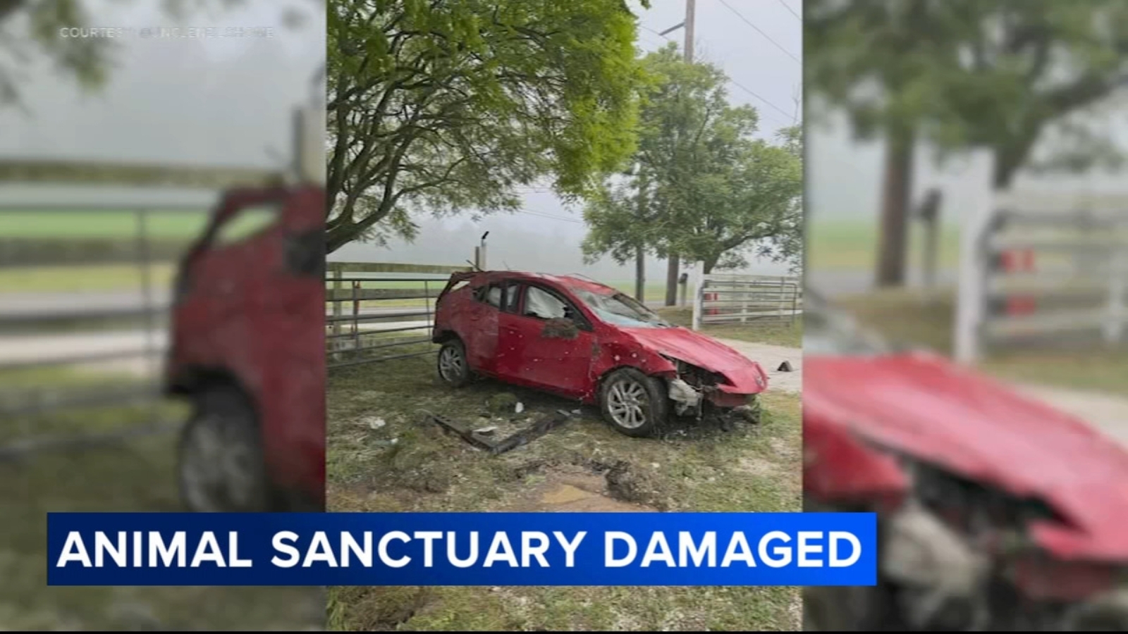 Uncle Neil's Home: Violent crash leaves Cumberland County animal ...