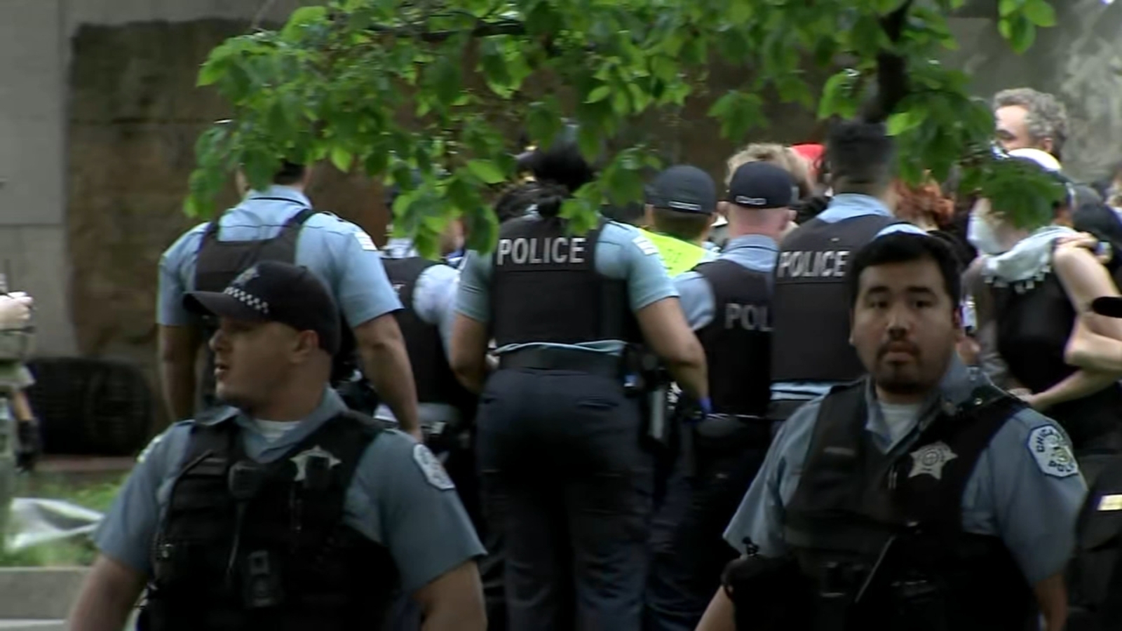 Art Institute of Chicago protest: COPA investigating complaints about ...