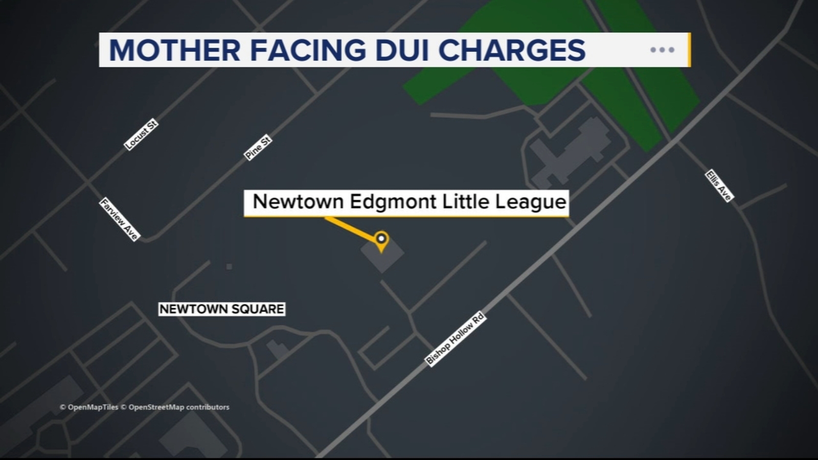 Delaware County mother facing DUI charges after allegedly backing into ...