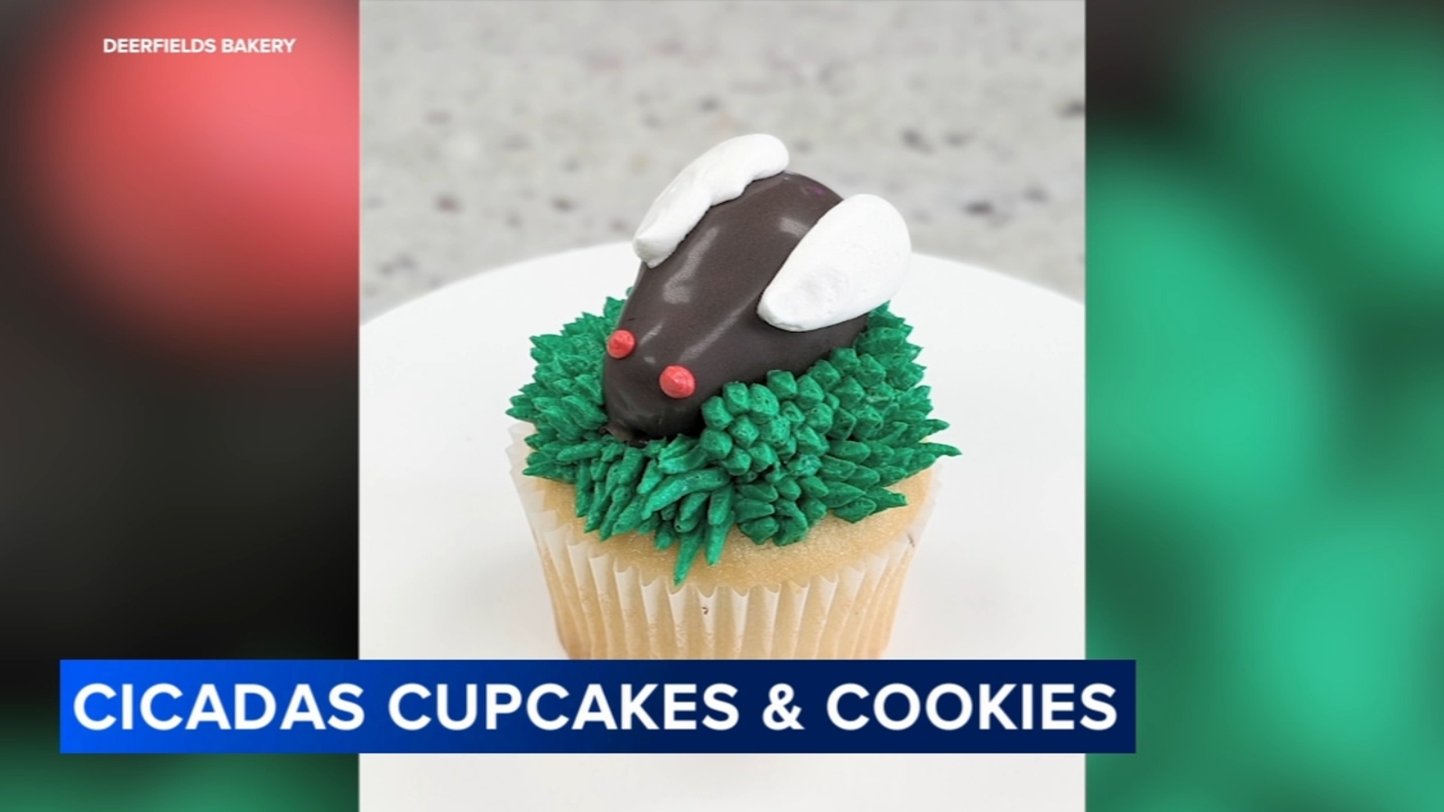 Deerfields Bakery and Cafe in Buffalo Grove, Deerfield joins cicada Illinois buzz with bug ...