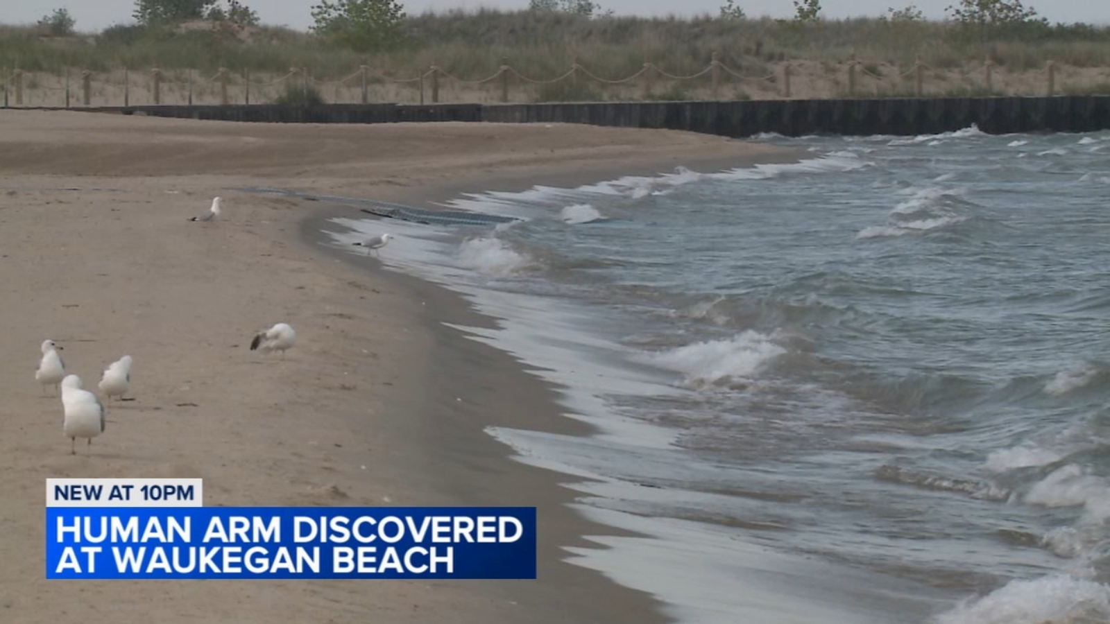 Human arm found on Waukegan beach, may be linked to missing Milwaukee ...