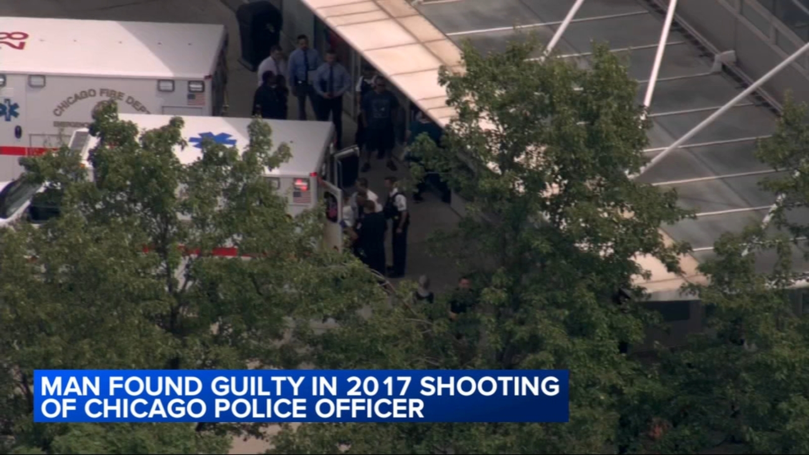 Dante Jeffries found guilty of injuring police officer in Back of the ...