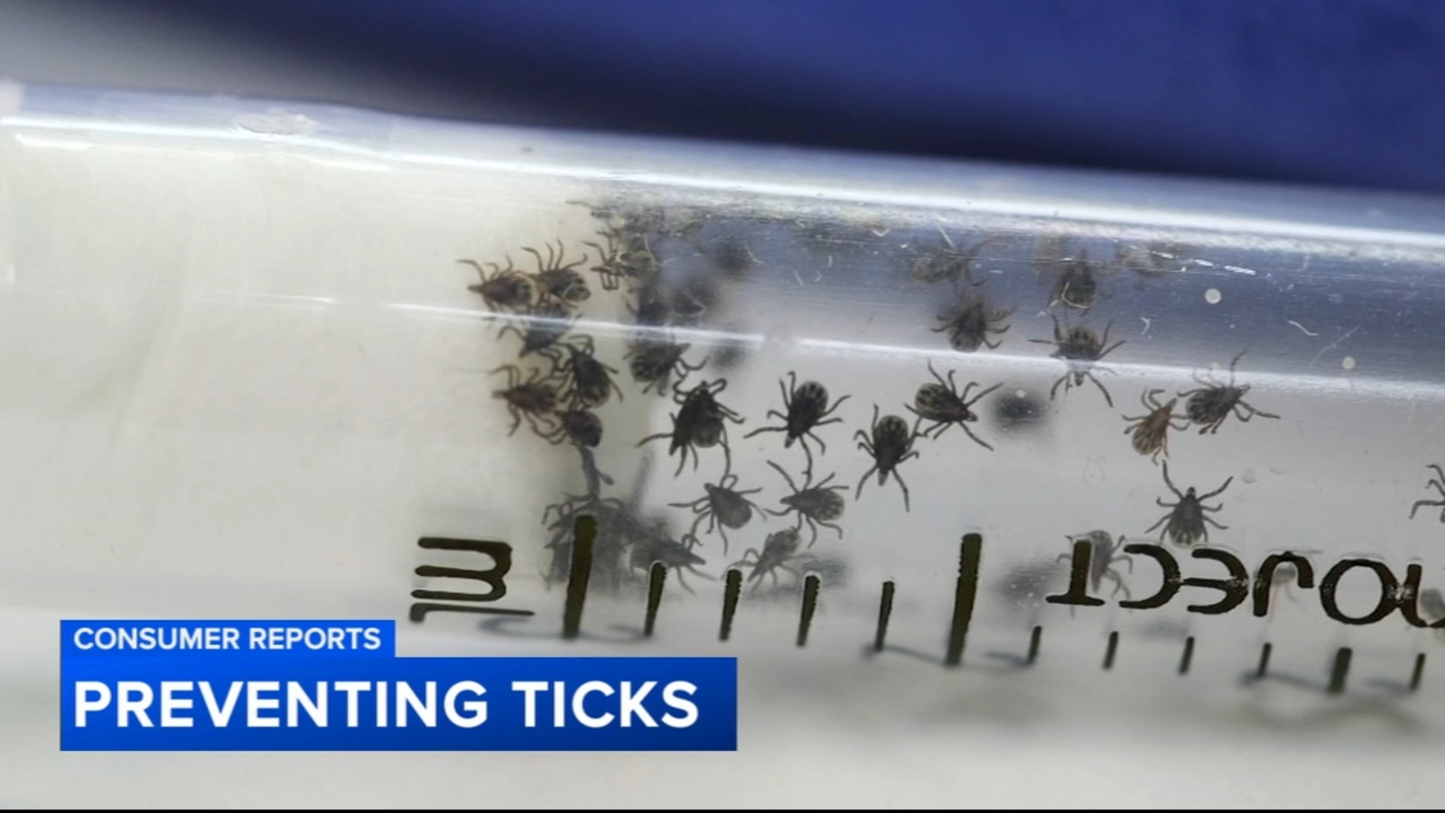 Tips to help prevent ticks - 6abc Philadelphia