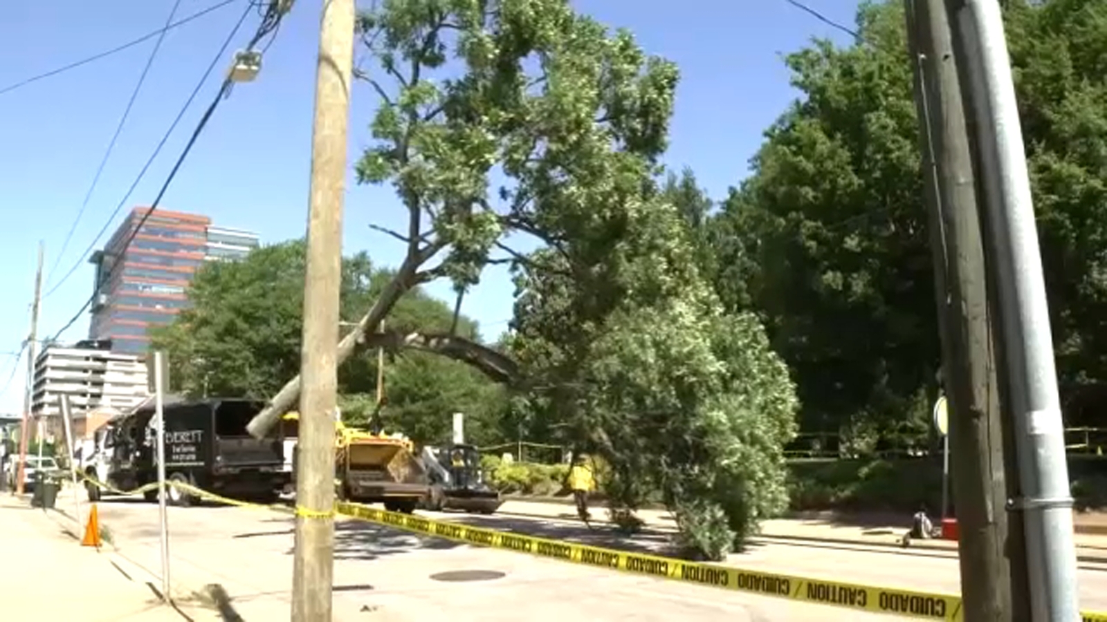 Nash Square tree removal causing road closure in downtown Raleigh ...