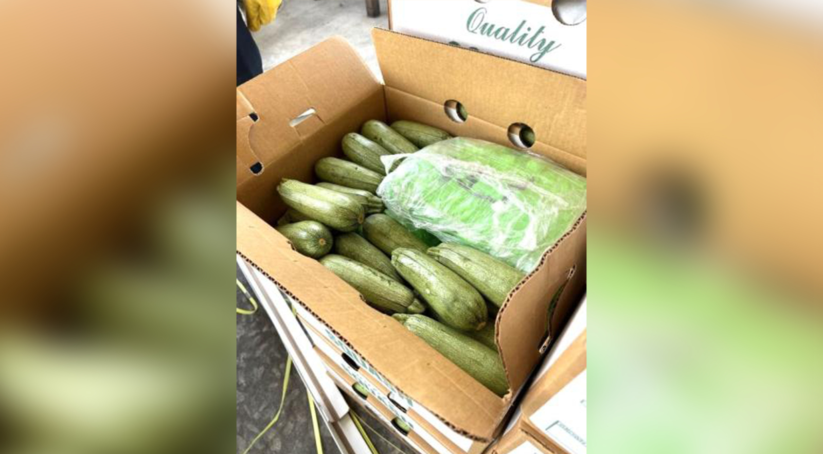 Packages of meth found in squash shipment in California weighed almost ...