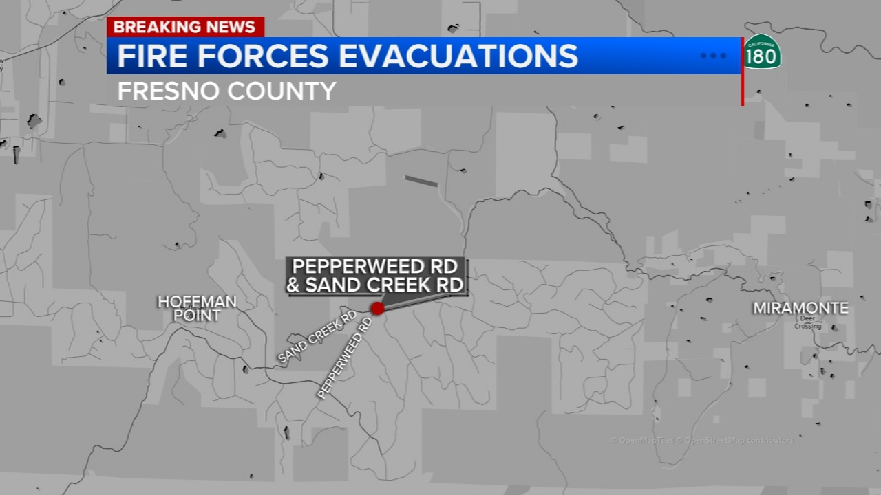 Meet Shirley - ABC30 Fresno