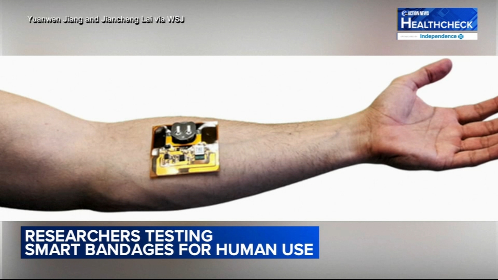 Keratinocytes Wound Healing