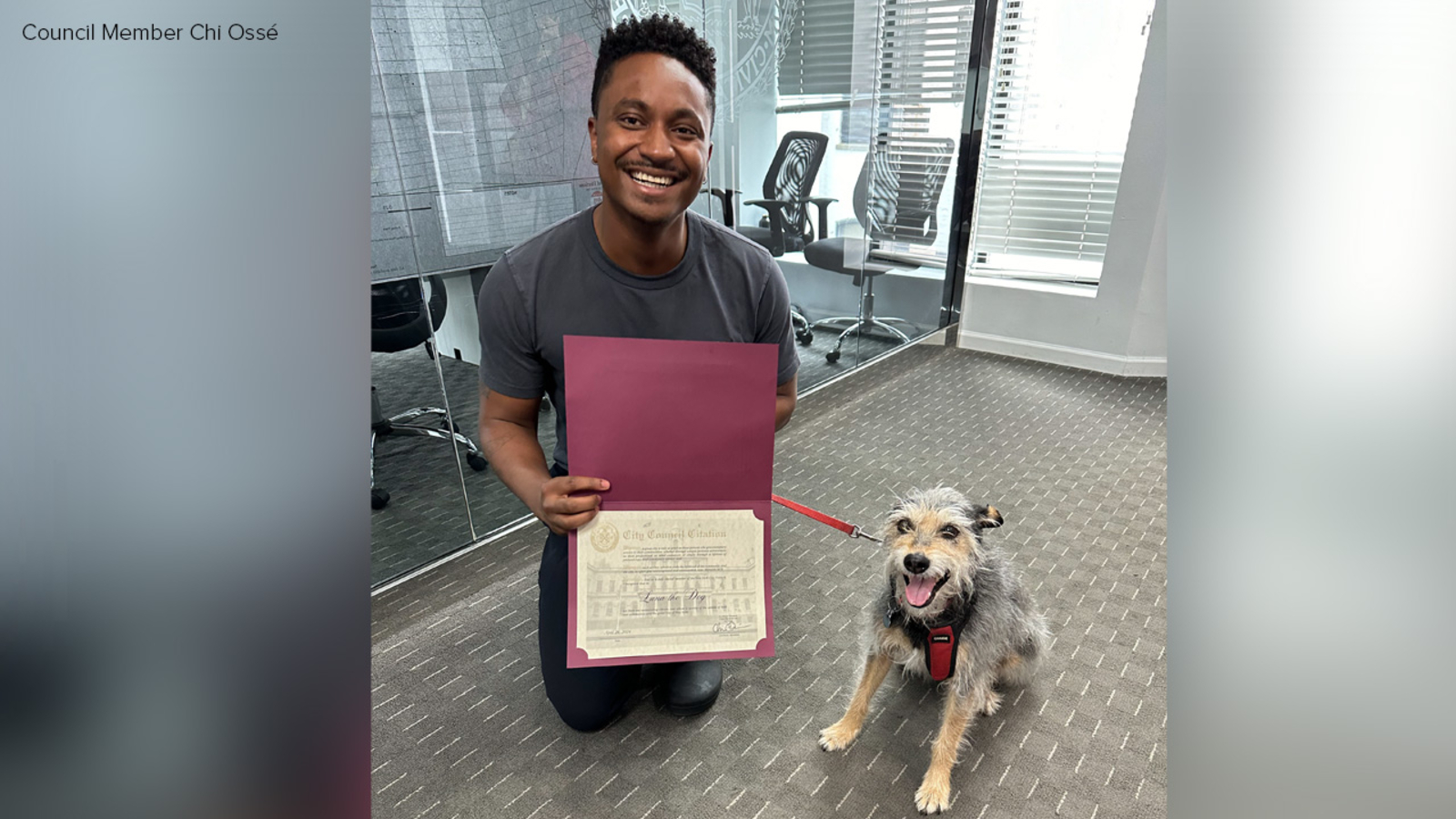 Councilmember Chi Ossé honors Luna the 'rat killer' for her unofficial ...