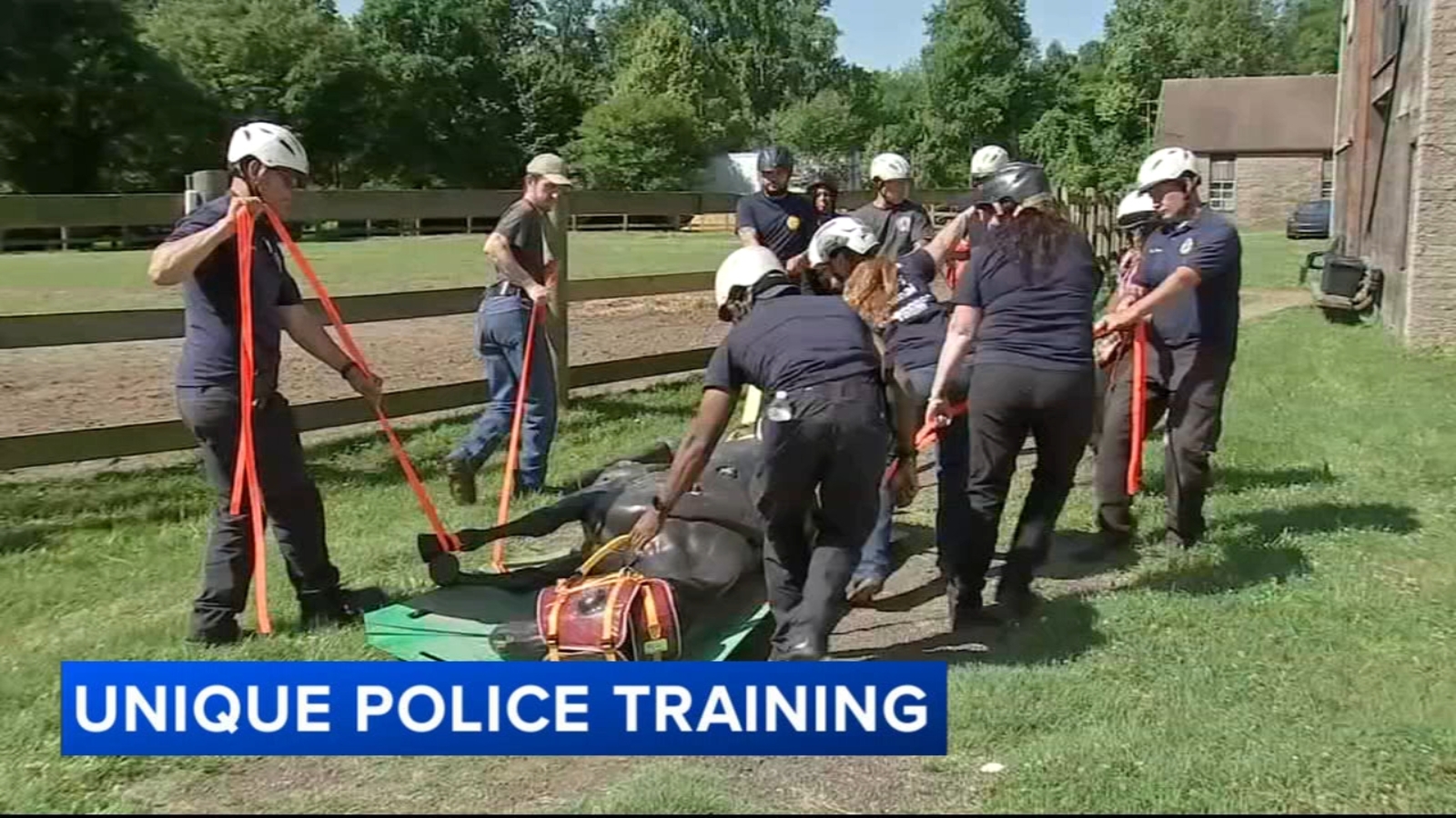 Philadelphia Mounted Police unit host large animal response training ...