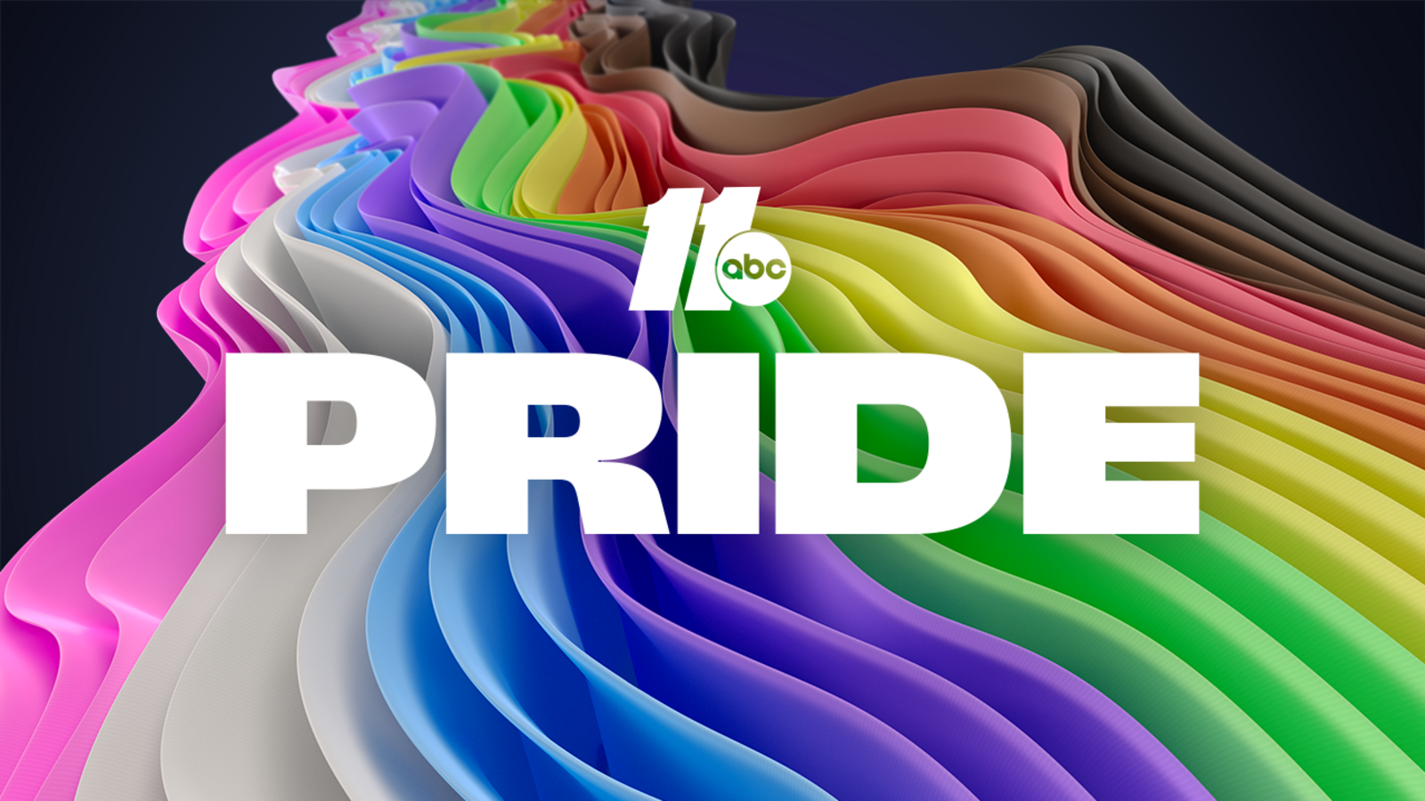 Pride Month 2024 | Ways to support and celebrate and advocate for our ...