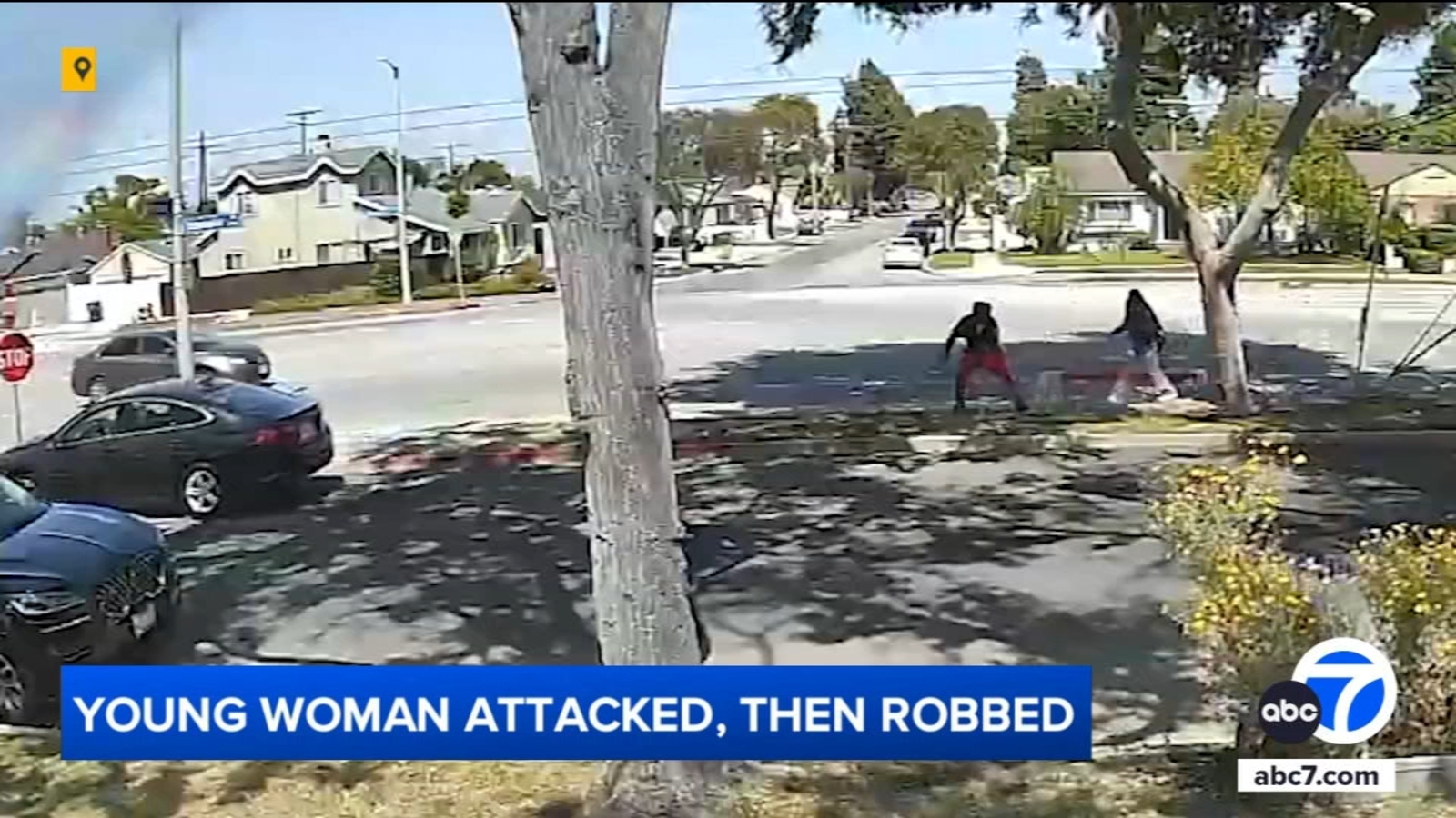 Video shows violent attack during robbery near bus stop in Long Beach ...