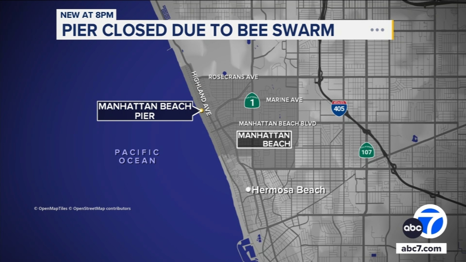 Bee swarm shuts down Manhattan Beach Pier - ABC7 Los Angeles