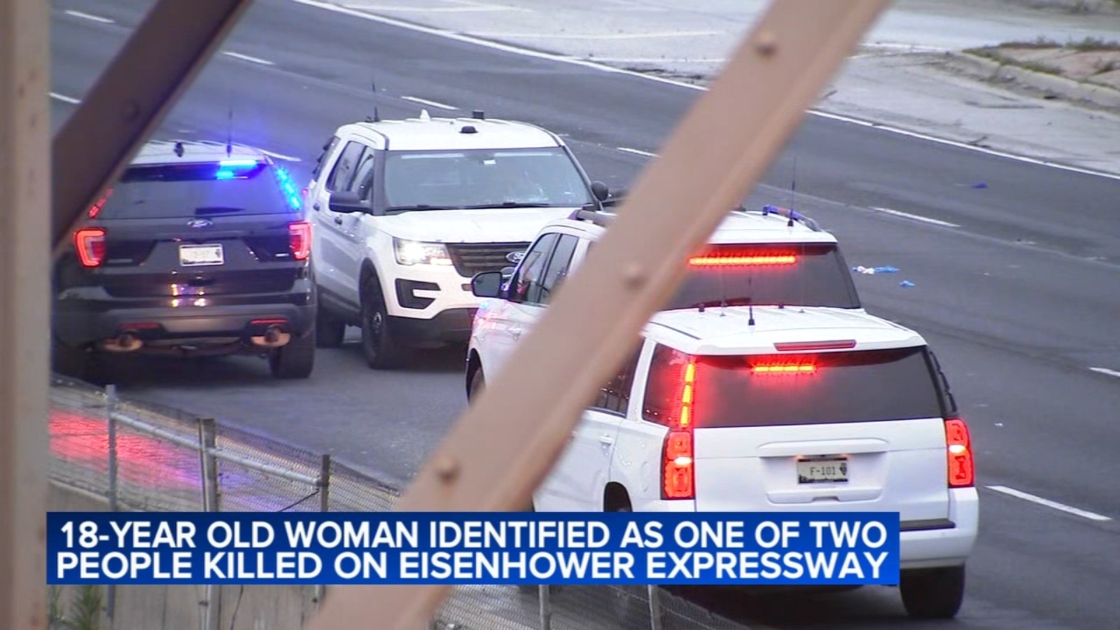 Shealyn Sherwood of Hoffman Estates, 18, identified as victim killed in ...