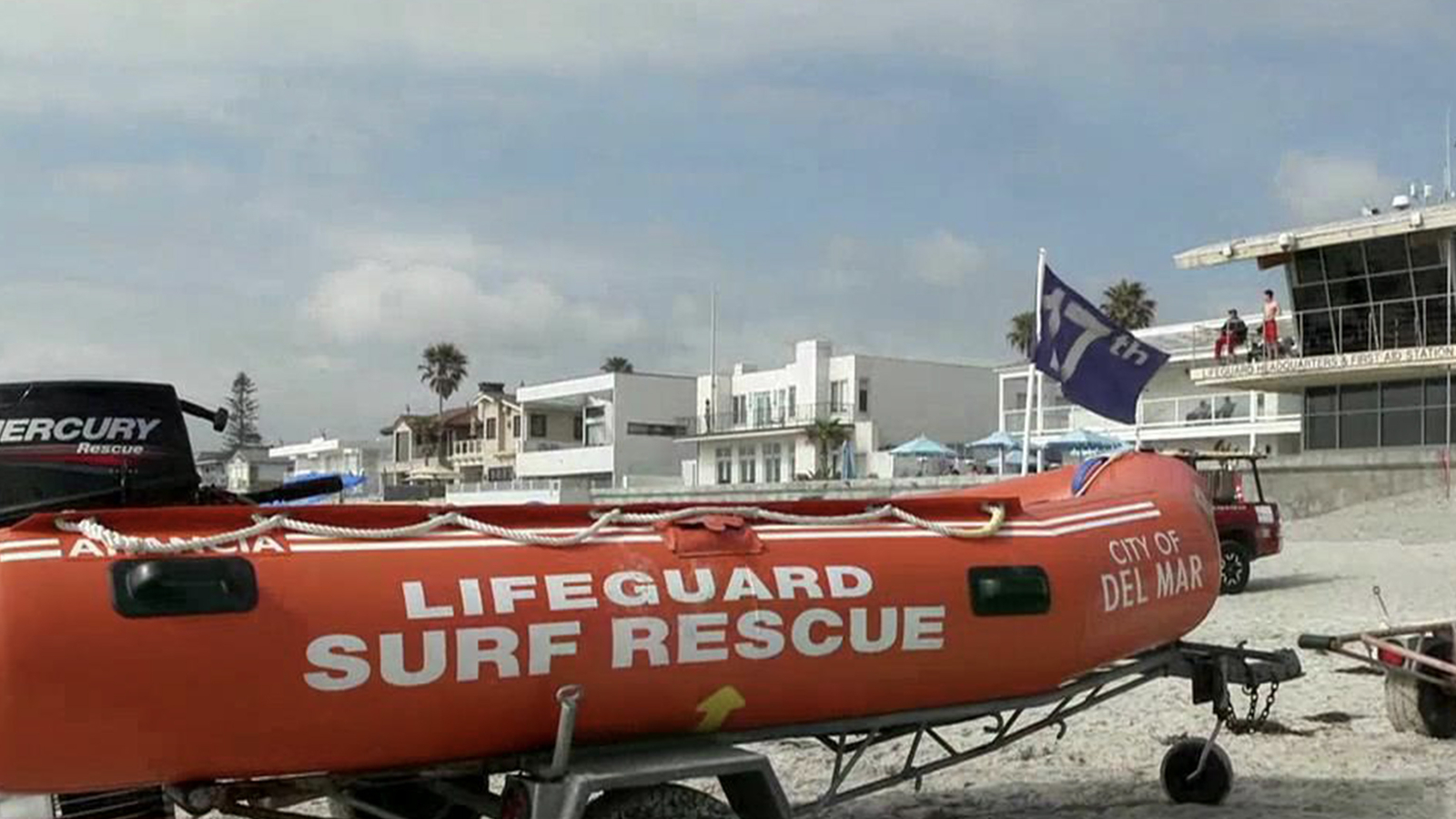 Man suffers shark bite during swim at San Diego, California's Del Mar ...