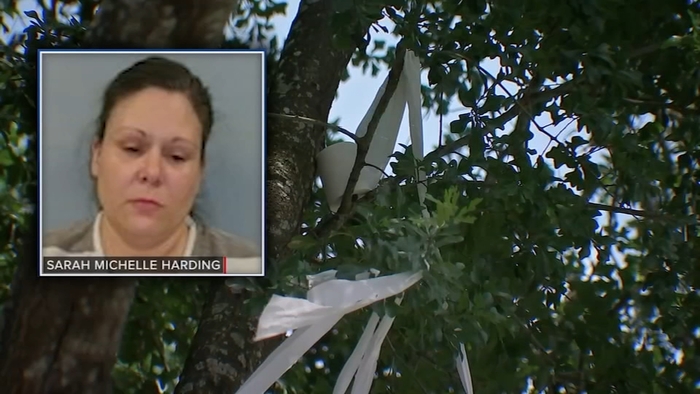 Friendswood News - ABC13 Houston