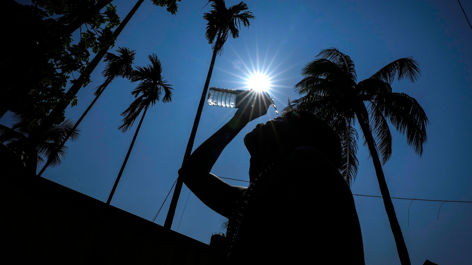 Why are heat waves dangerous? Tips to stay safe in hot weather and how ...