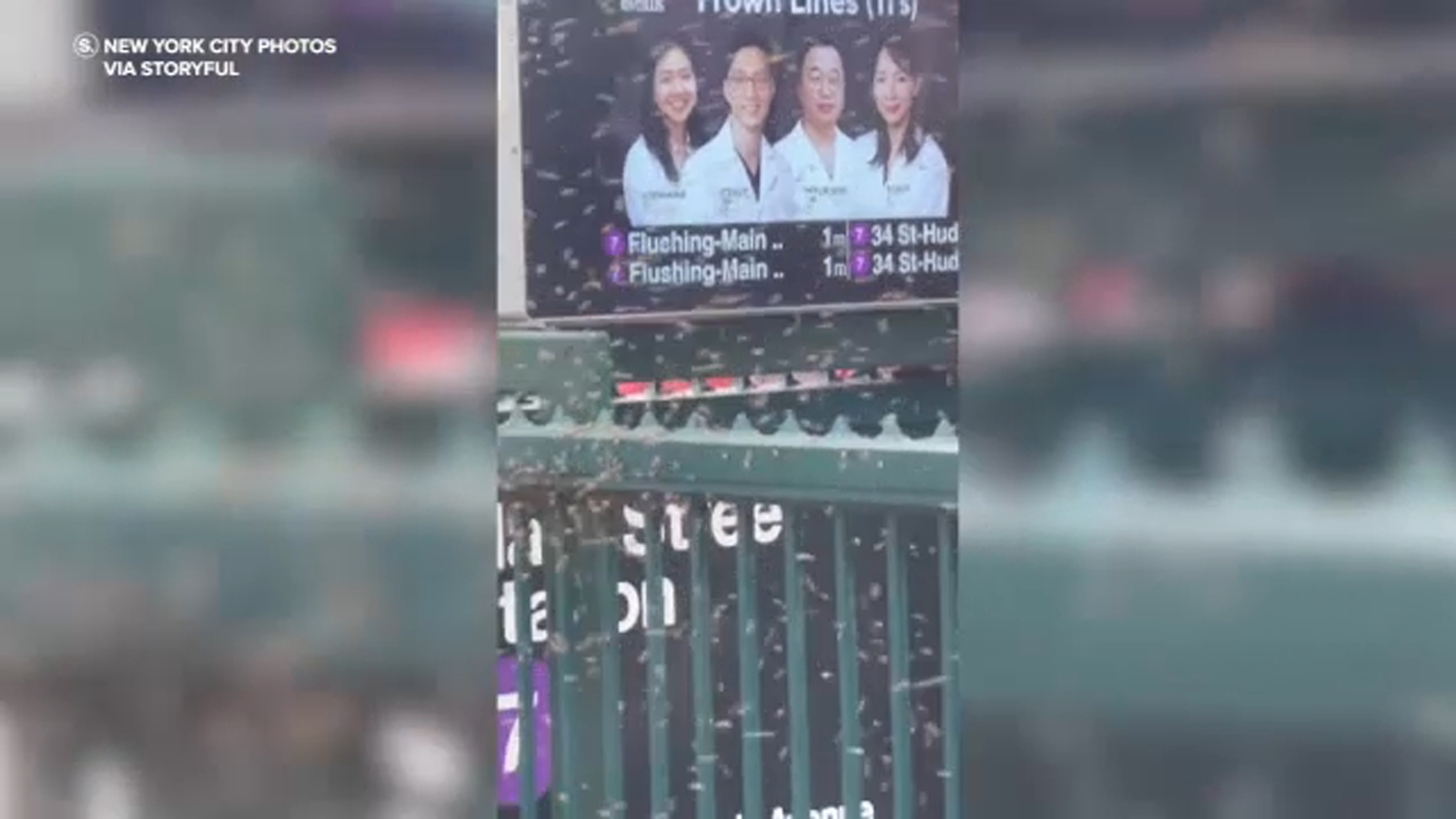 Bees swarm portion of NYC subway entrance in Flushing, Queens - ABC7 ...