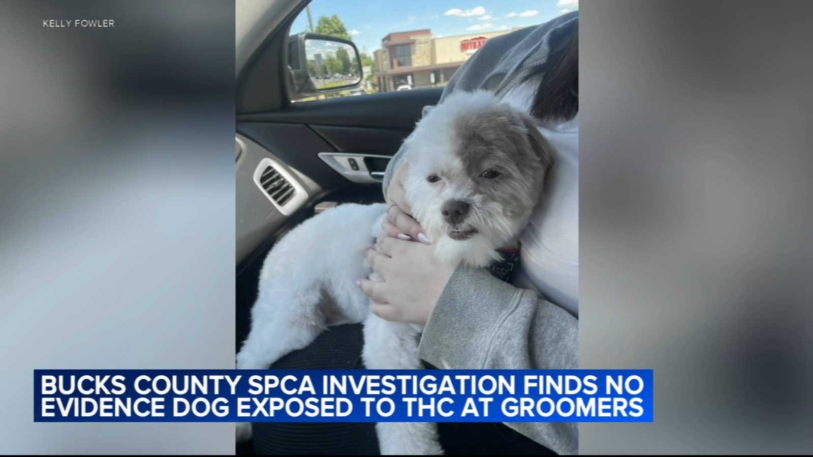 Bucks County SPCA finds no evidence dog ingested THC during PetSmart ...