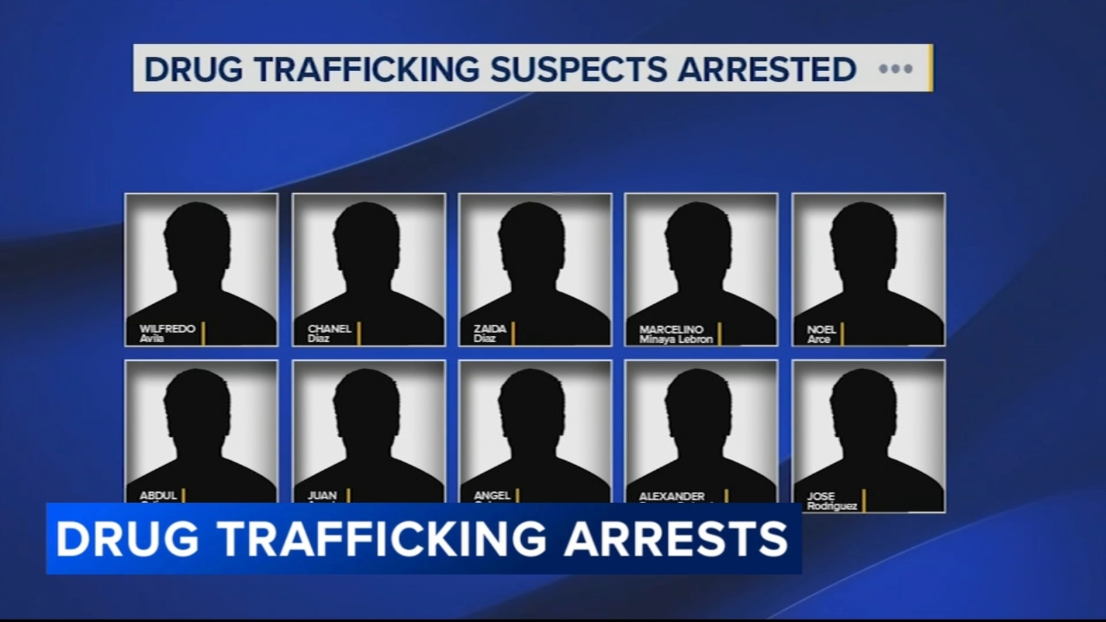 'Operation Black Diamond' nets 12 alleged memebrs of drug trafficking ...