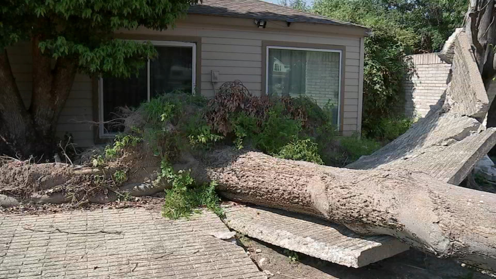 Khalia Douglas pleads guilty to fraud after filing over $500,000 in ...