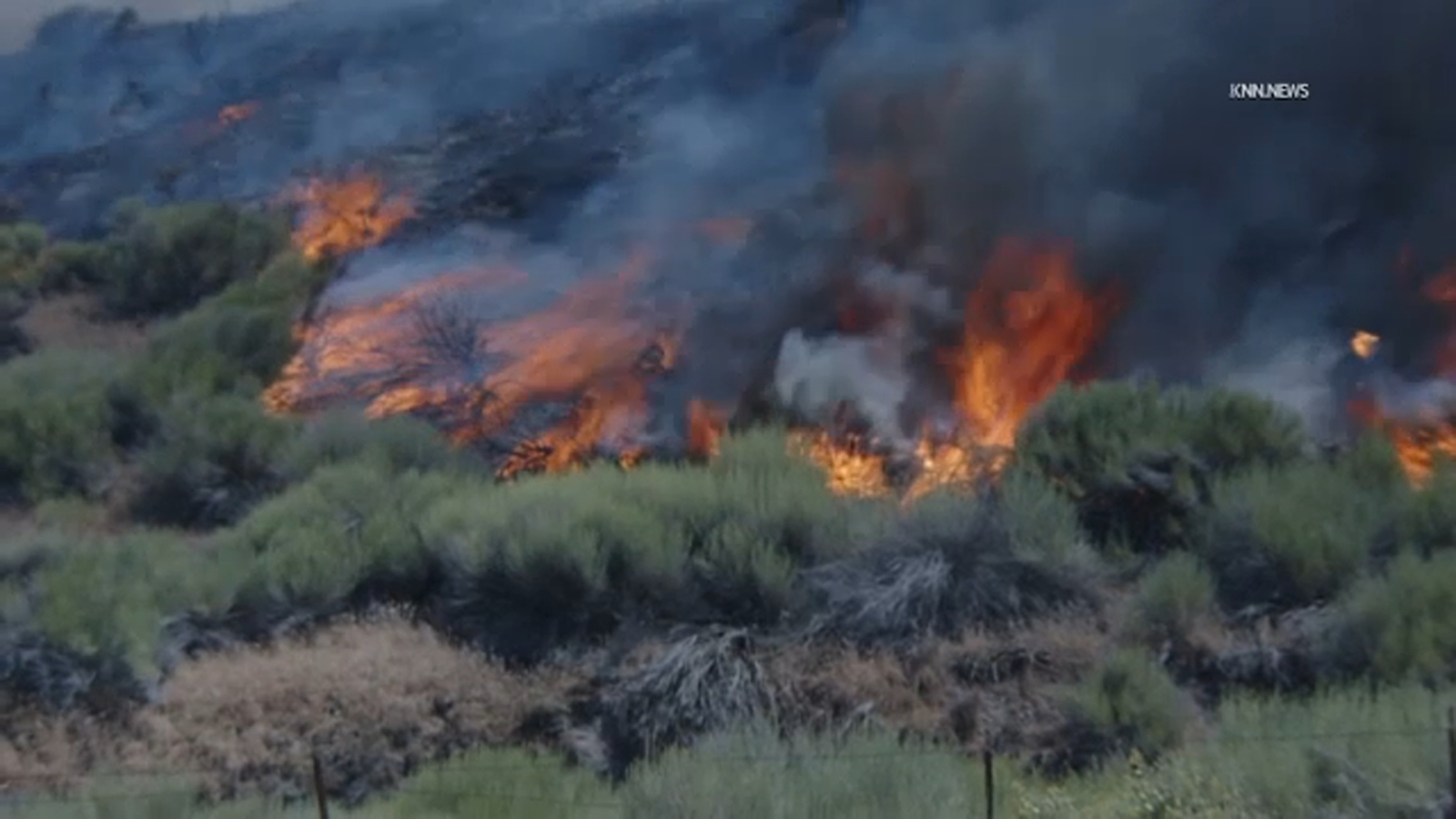 Incendio de matorrales cerca de la autopista 5 en Gorman explota a ...