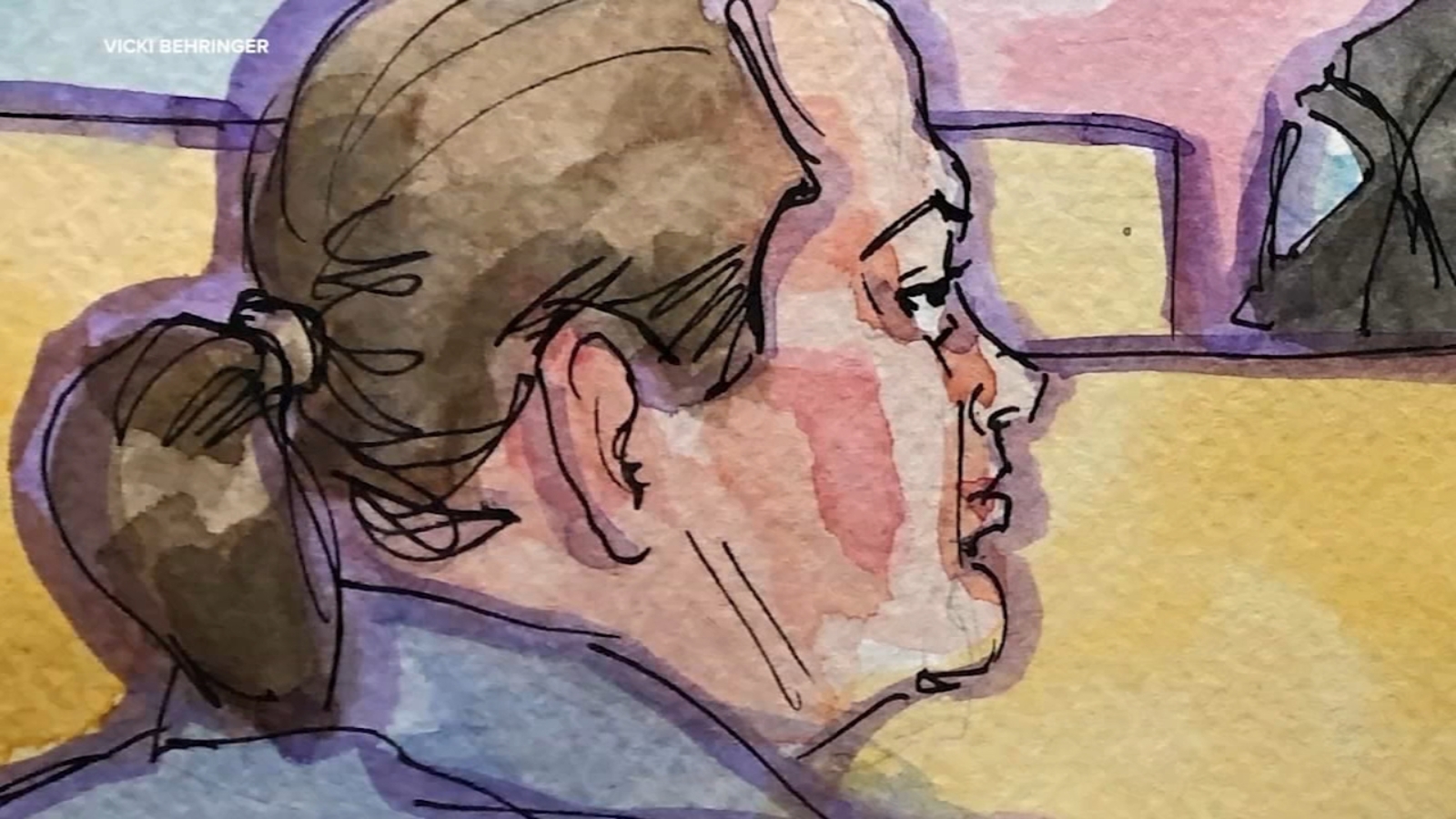 Paul Pelosi attack: Possible interference investigated in state trial ...