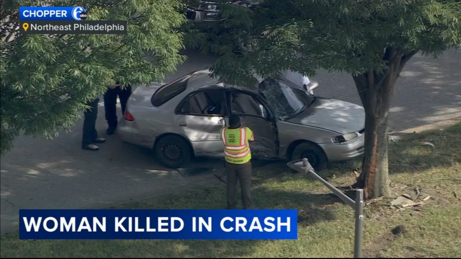 Woman killed after car crashes into tree along the Roosevelt Boulevard ...