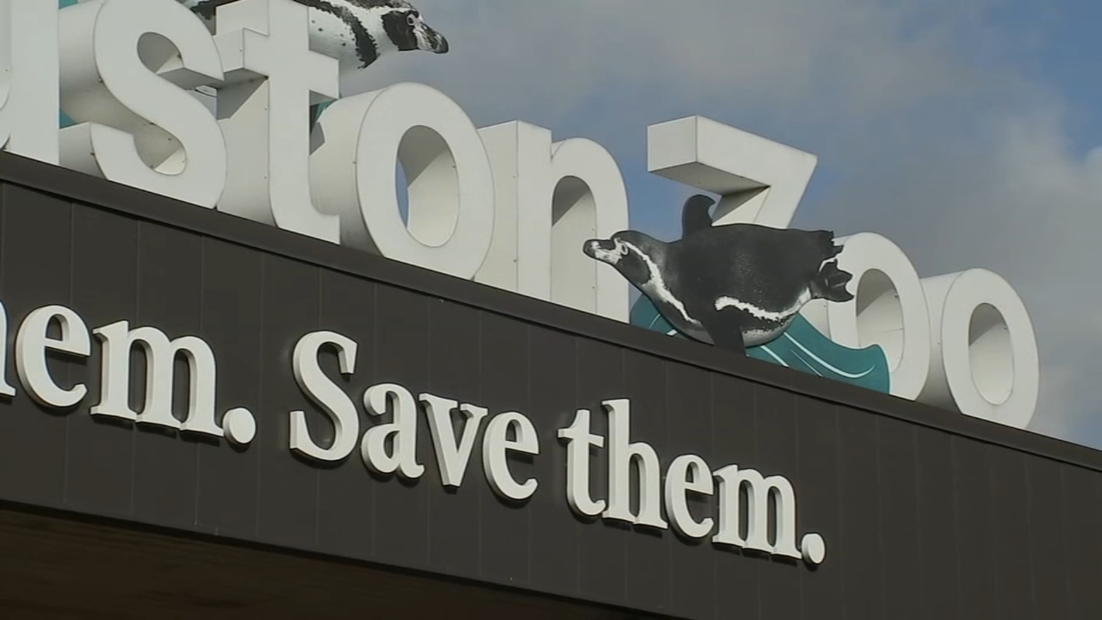 Mayor John Whitmire says Houston Zoo is too expensive and needs to cut ...