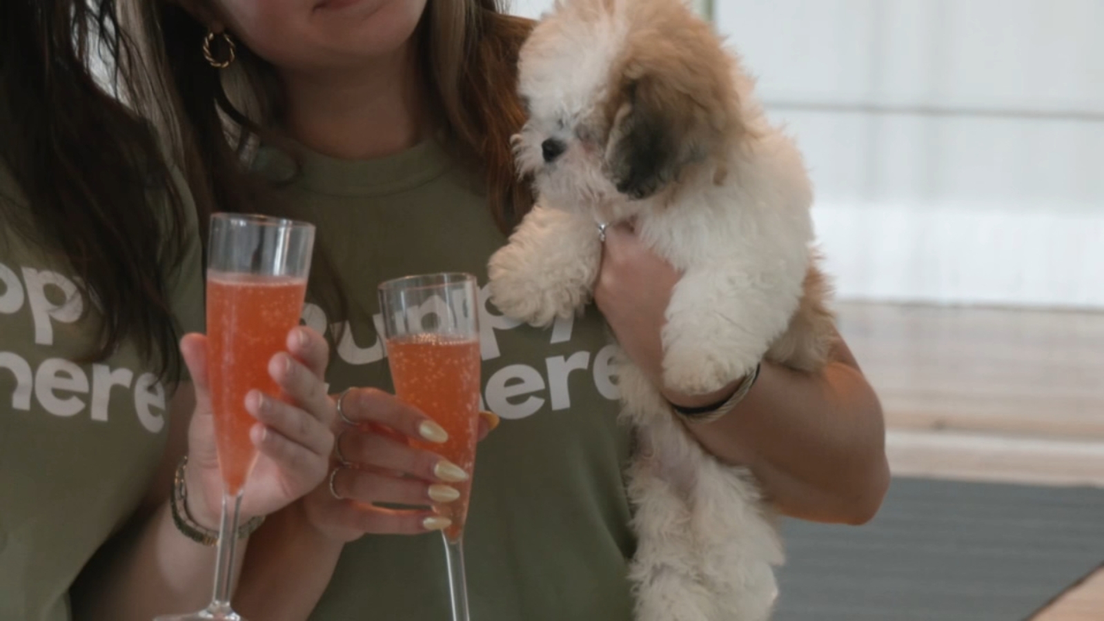 Puppy Sphere Chicago bringing dog yoga to Logan Square; other locations ...