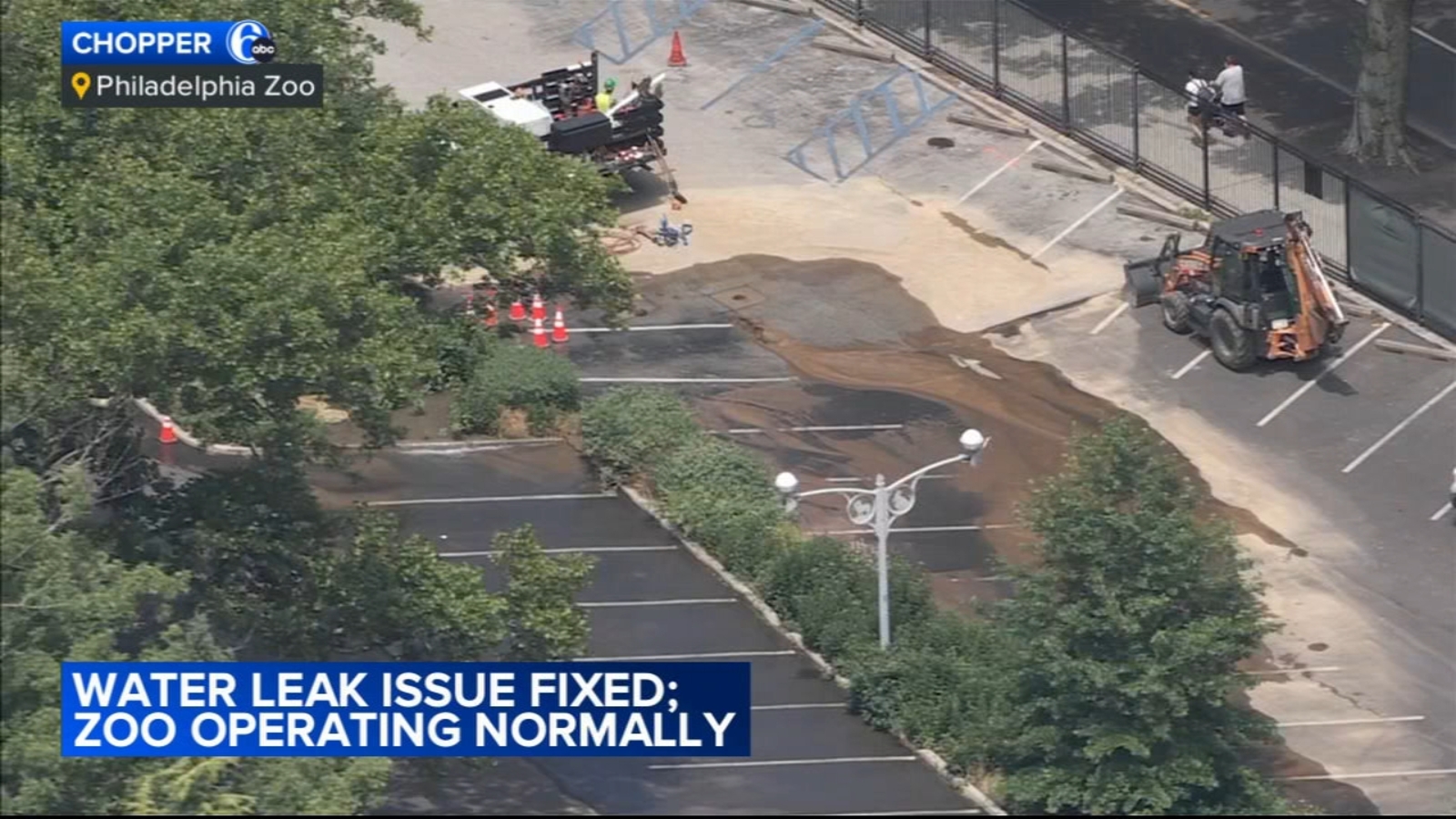 Philadelphia Zoo returns to regular operations following water main ...