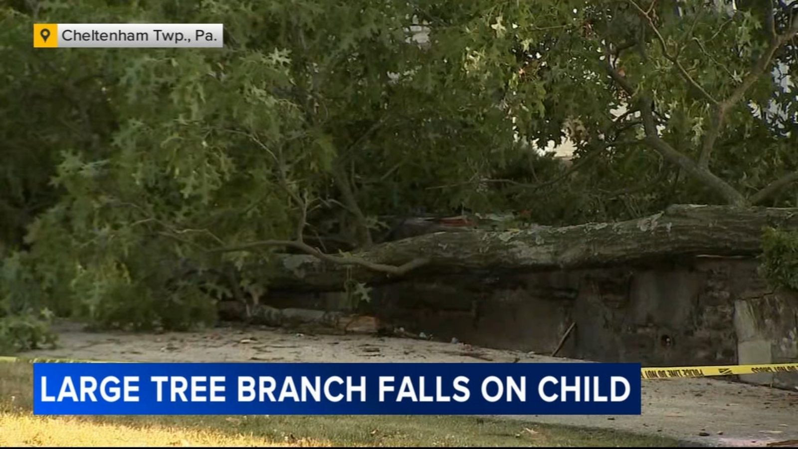 2-year-old boy seriously injured after being trapped under fallen tree branch in Cheltenham ...