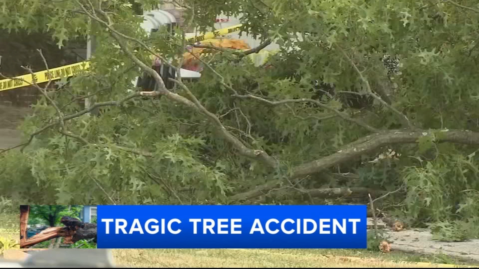 2-year-old recovering after fallen tree branch severs his arm in ...