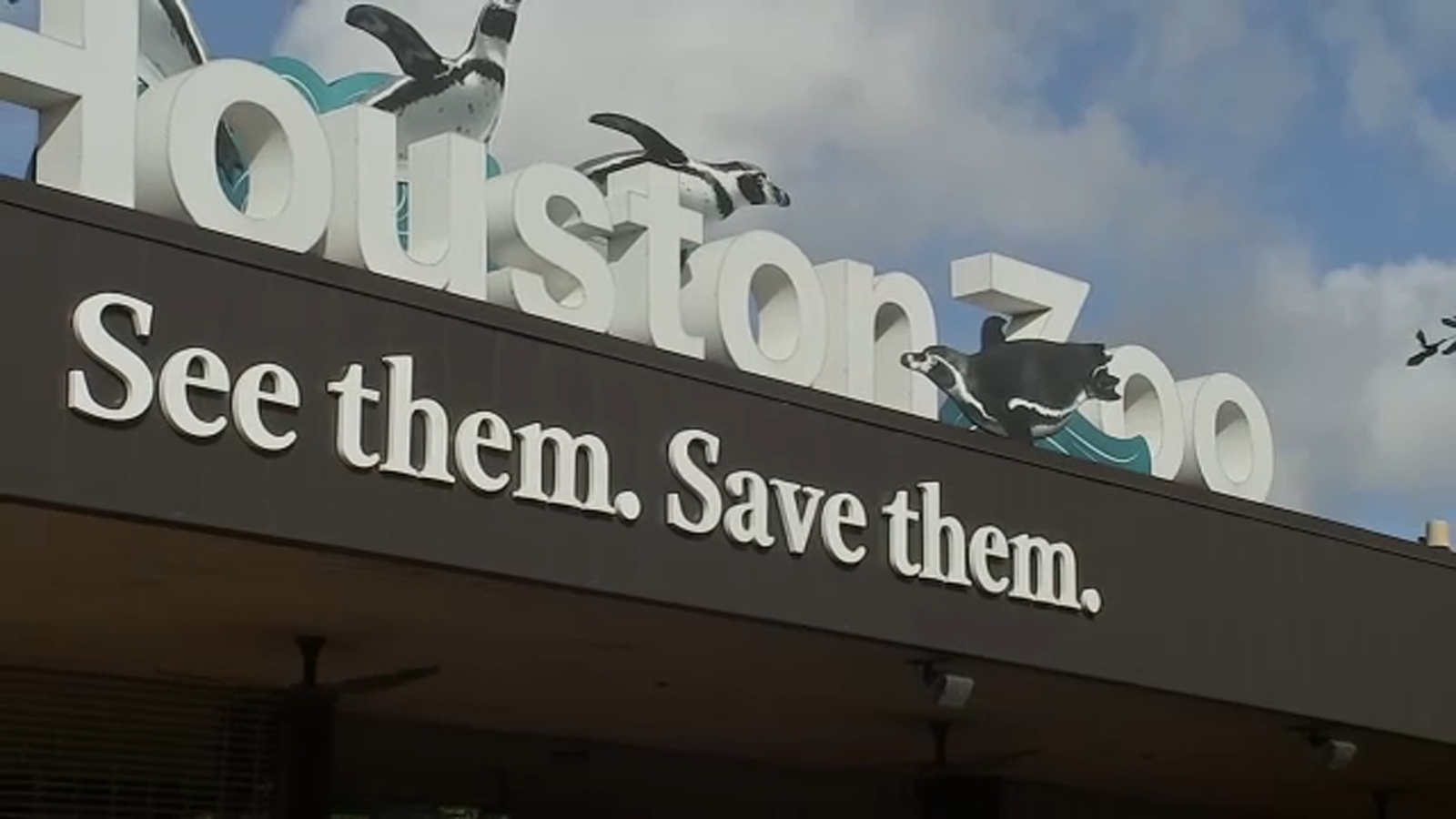 Beryl Houston update: Zoo to remain closed Tuesday to clean up debris ...