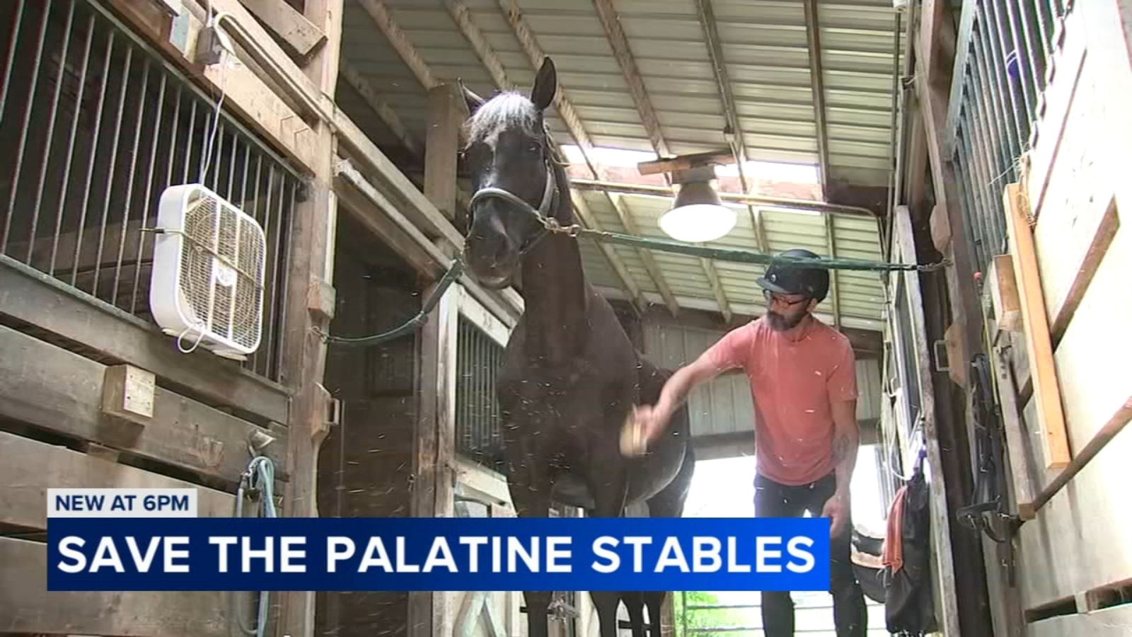 Community fights Palatine Park District plans to close horse stables ...