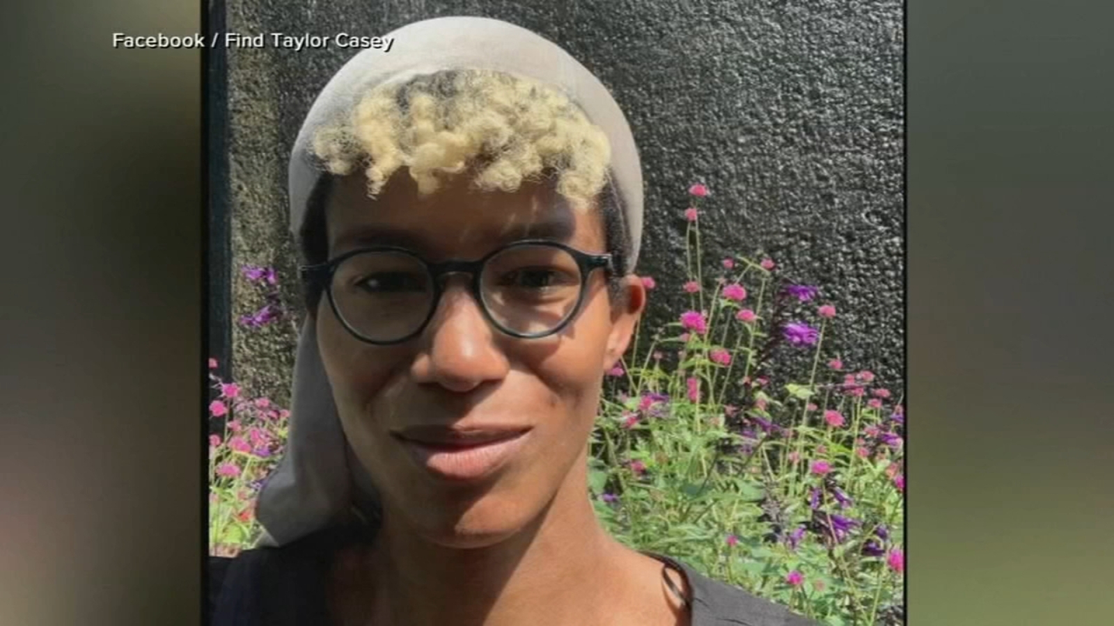 Taylor Casey missing: Bahamas police suspend Michael Johnson, high ...