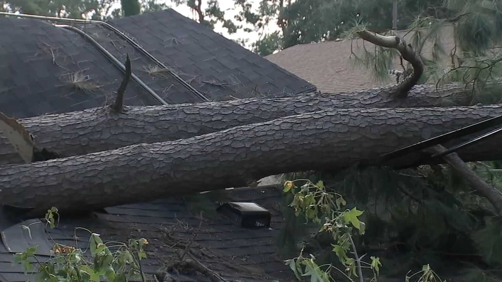How to get help after Beryl: Hurricane Recovery Fund launched and FEMA ...