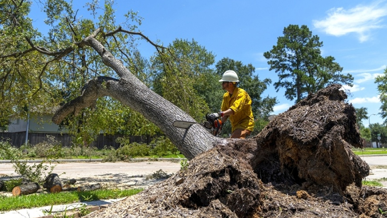 Hurricane Beryl emergency resources: Texas A&M Forest Service estimates ...