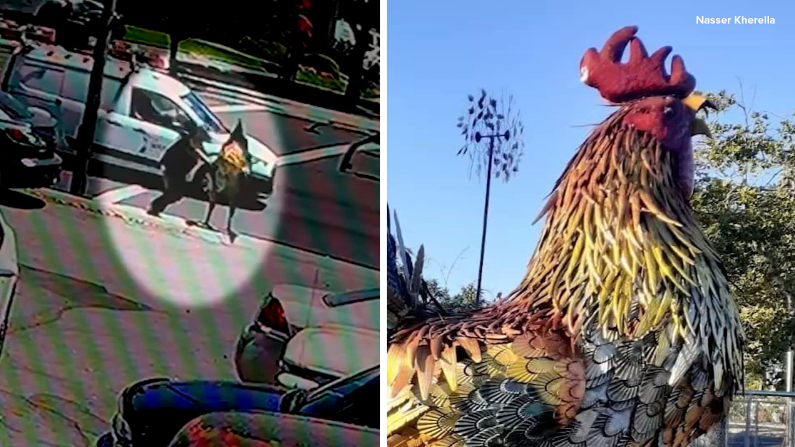 Campbell Rooster: Thieves steal 6-foot-tall metalwork from California ...