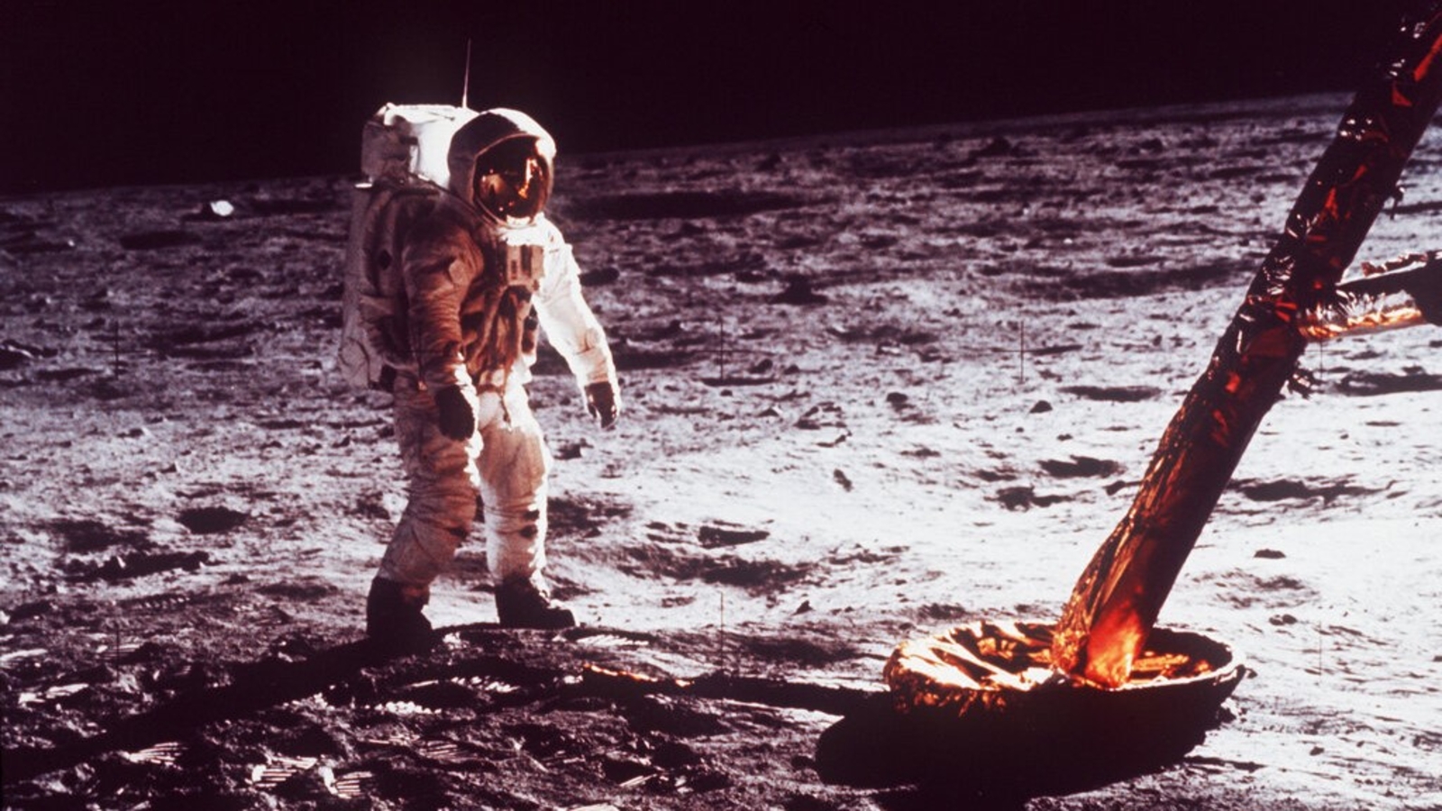 Moon fests, moon movie, and a full moon mark 55th anniversary of Apollo ...