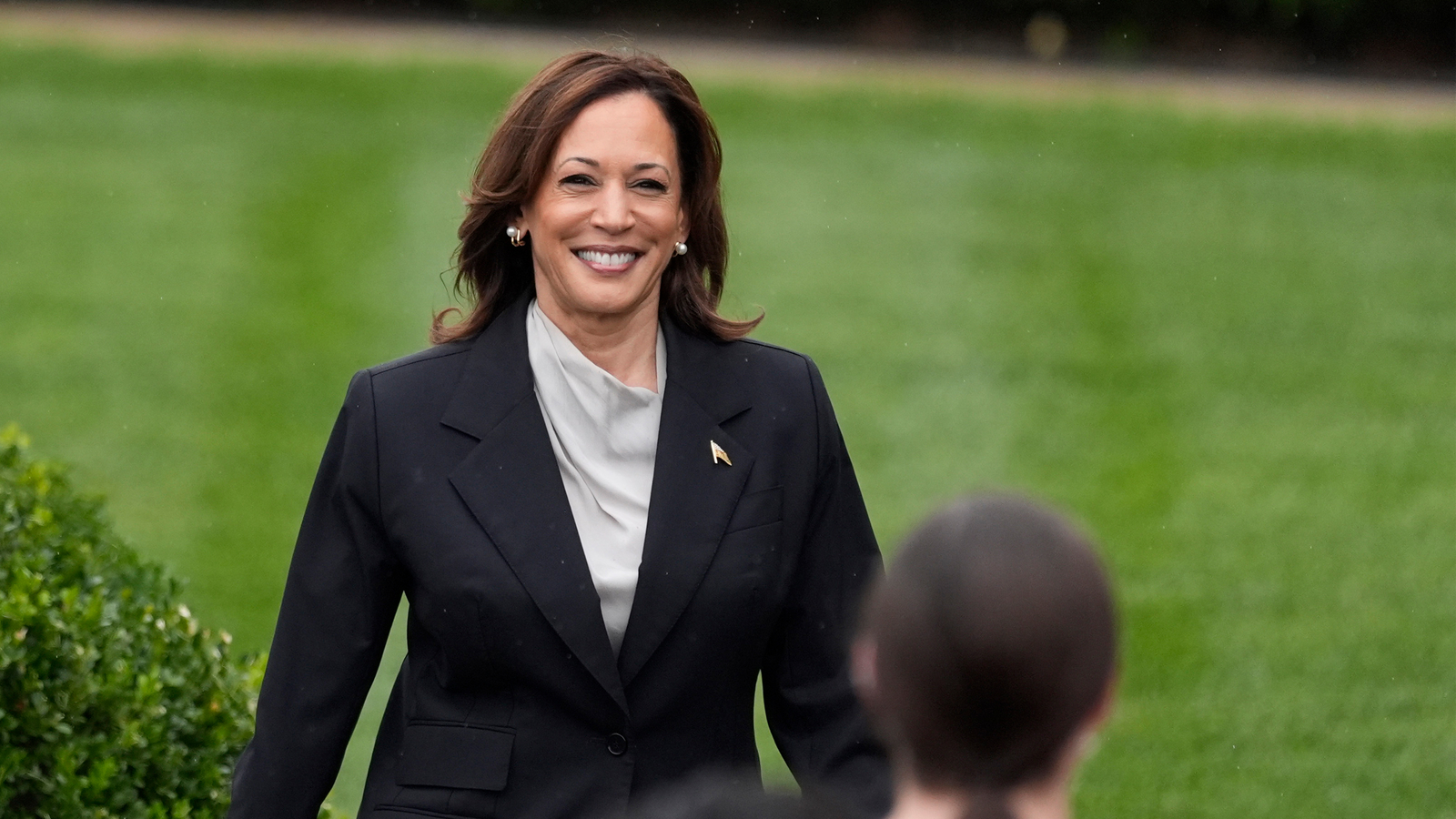 NY, NJ delegates pledge support to Kamala Harris ahead of Democratic ...