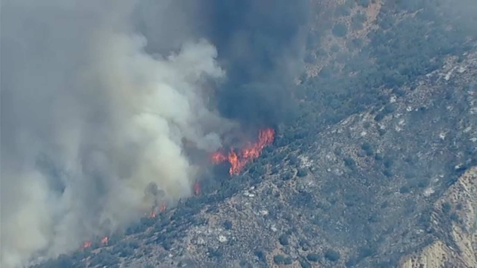 Incendio forestal crece a 800 acres en el Bosque Nacional Los Padres en ...