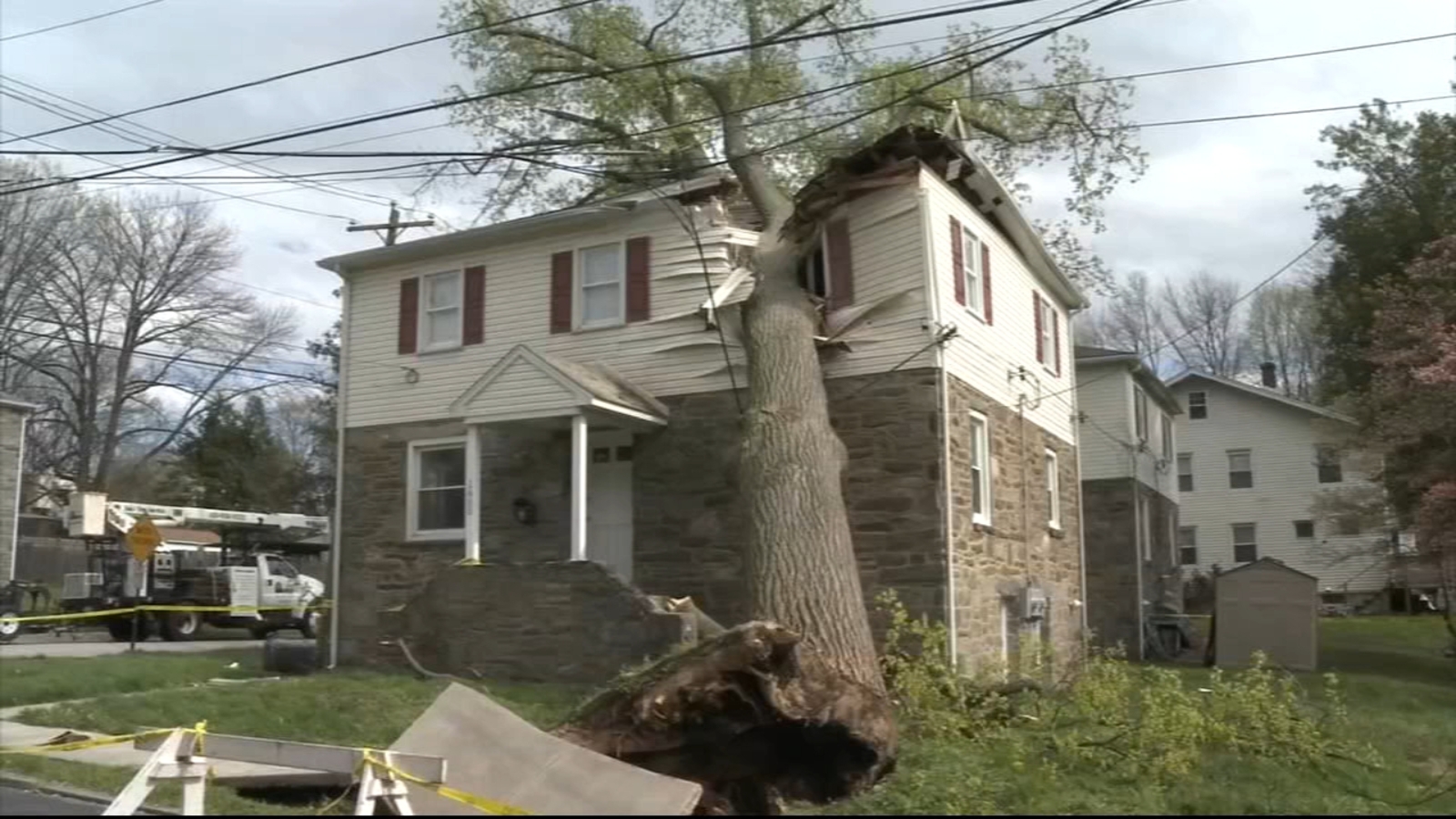 How to best prepare incase a tree falls on your home, garage, or car ...