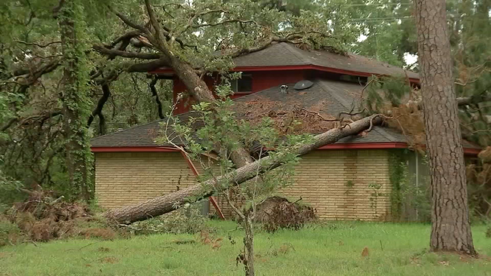 Hurricane Beryl lessons being learned in Houston, Kingwood after trees ...
