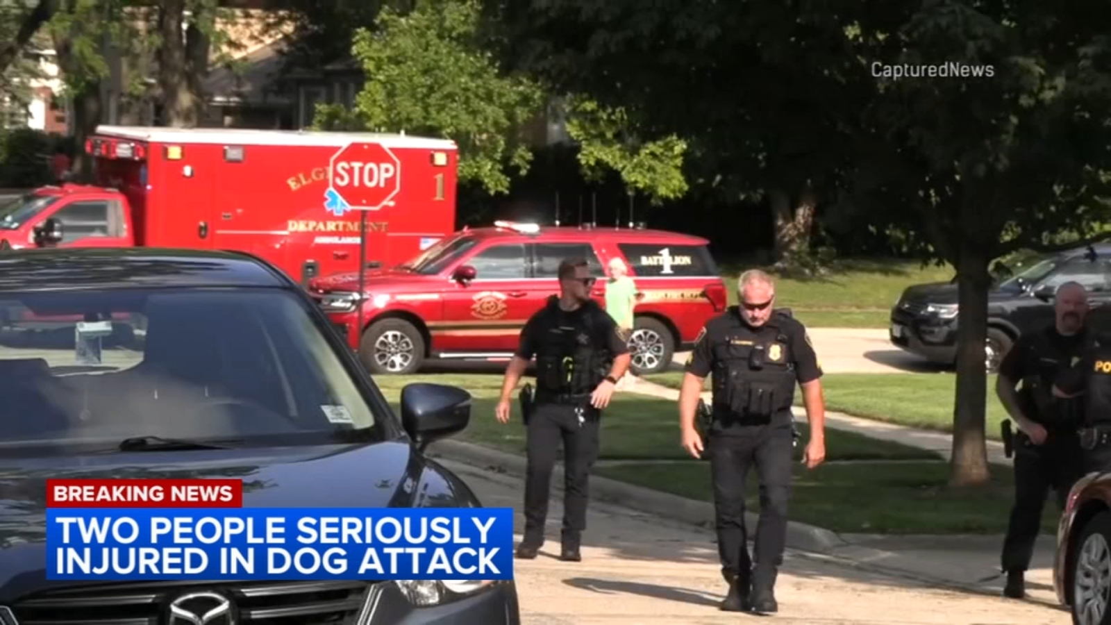 Elgin police shoot, kill dog that was attacking owners while on a walk ...
