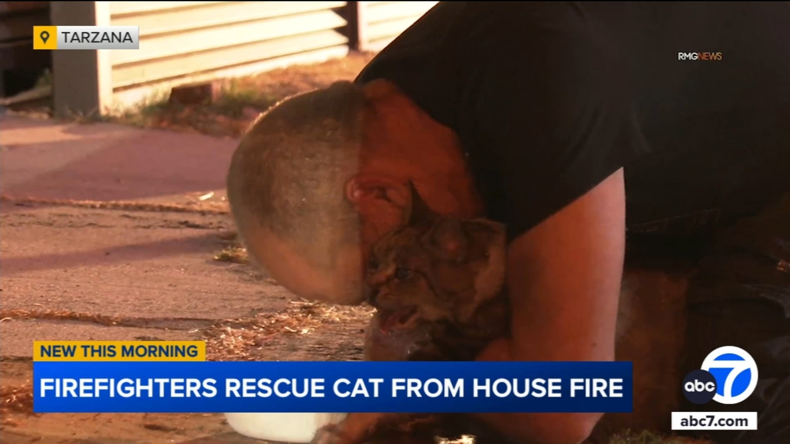 Firefighters rescue cat from Tarzana house fire, owner overcome with ...
