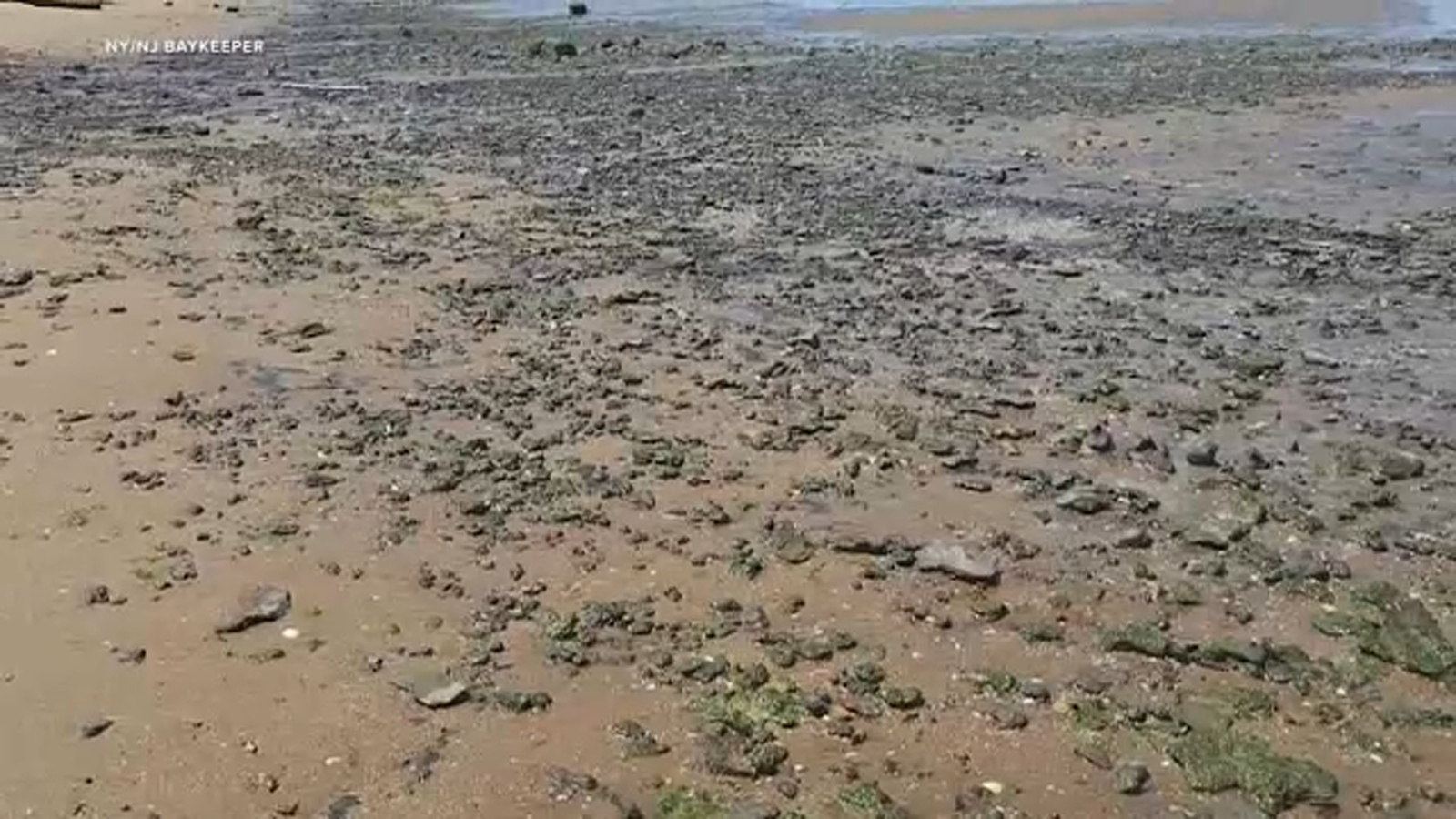 Clusters containing lead wash up on beach in Keyport, NJDEP ...